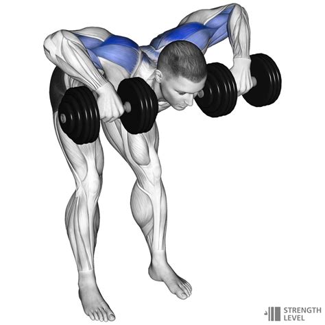 Dumbbell Face Pull Standards For Men And Women Lb Strength Level