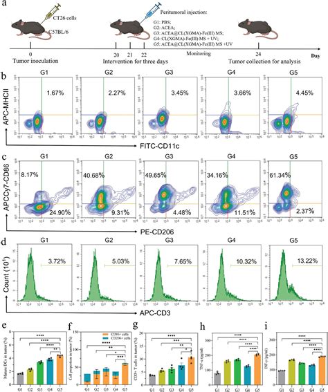 Molecular Engineering Of Electrosprayed Hydrogel Microspheres To Achieve Synergistic Anti‐tumor