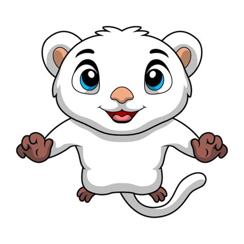 Premium Vector Cute Cuscus Cartoon On White Background