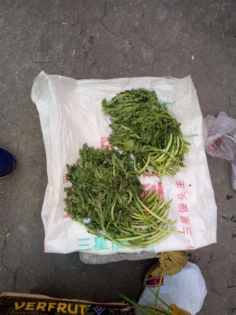 奶奶帶著閨蜜來賣菜，菜都是奶奶自己種的 每日頭條