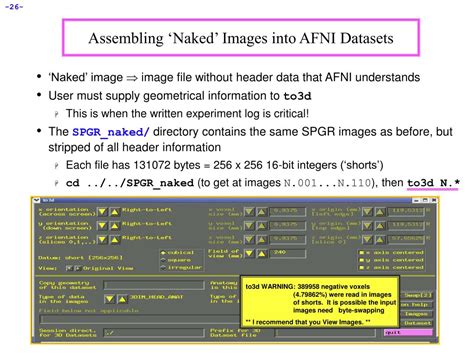 PPT Where Do AFNI Datasets Come From PowerPoint Presentation Free