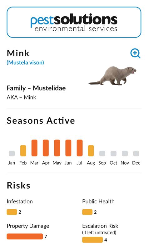Mink Pest Solutions