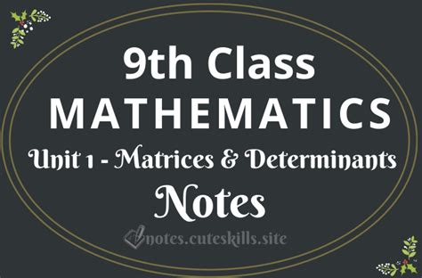 9th class maths unit 1 matrices and determinants notes