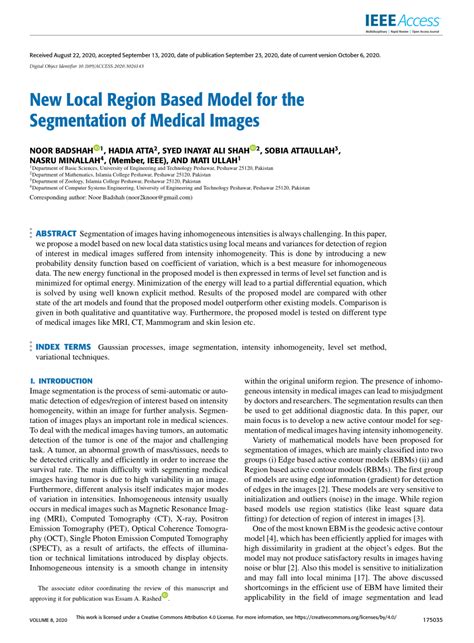 pdf new local region based model for the segmentation of medical images