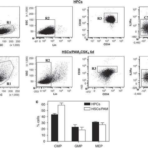 Common Myeloid Progenitor Cmp Granulocyte Monocyte Progenitor Gmp Download Scientific