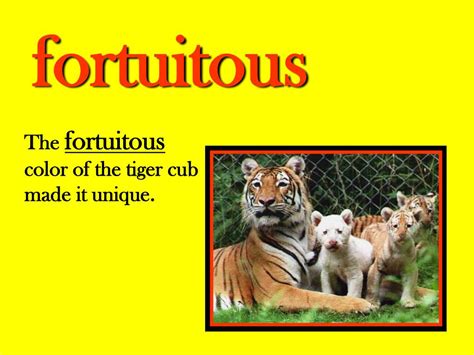 Ppt Fortuitous Adjective Powerpoint Presentation Free Download