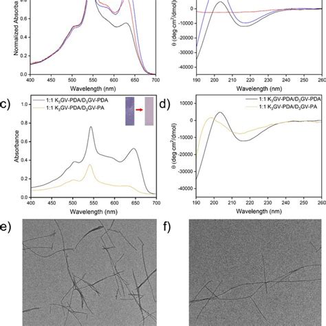 Photophysical And Structural Characterizations Of Peptide Pda System Download Scientific