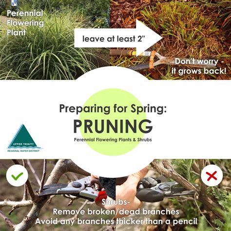 Crosstimbersgazette On Twitter Rt Utrwd Not Sure How To Correctly