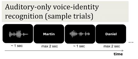 Schematic Illustration Of The Auditory Only Voice Identity Recognition Download Scientific