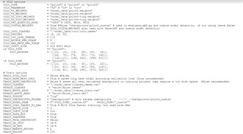 issues when i run detection custom from pre trained model made in colab