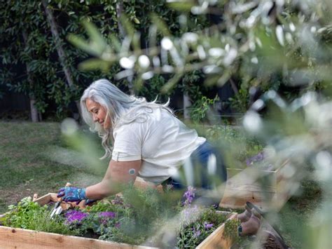 Dexcom Gets Fda Approval For Otc Biosensor Mediformatica Posted On