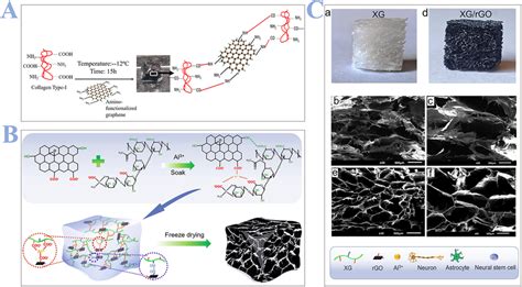 A Schematic Illustration Of The Preparing Process Of Download Scientific Diagram