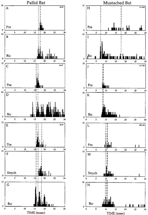 Representative Examples Of The Poststimulus Time Histograms Of Neurons Download Scientific