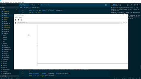Golang Gui框架fyne学习204：数据库项目53修改其他包的全局私有变量哔哩哔哩bilibili