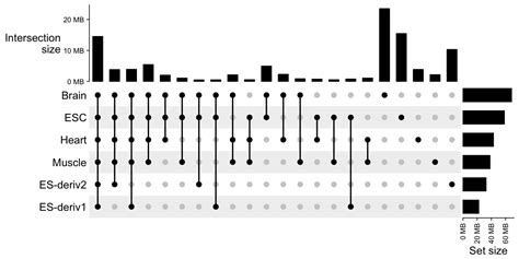 Chapter 8 Upset Plot Complexheatmap Complete Reference