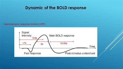 Basis Of The Bold Signal Ppt Download