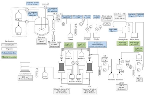 Process Flow Diagrams Bioprocess Bioprocessing Downstream Pr