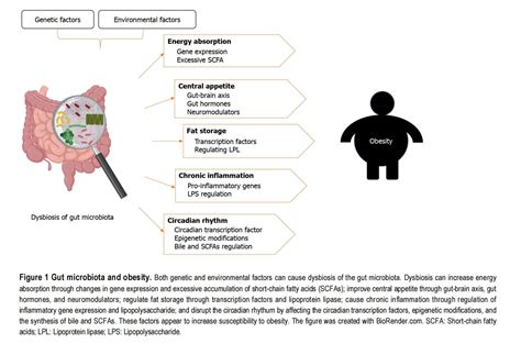 微生物资源鉴定保藏平台 灰藻生物【官网】