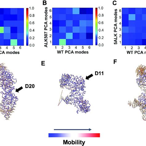 Heatmap Comparisons Of The Top 6 Principal Component Modes For Wt With Download Scientific