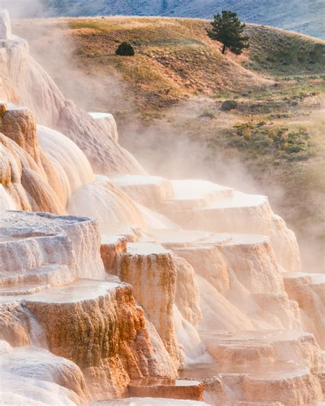 Steaming Terraces Of Mammoth Hot Springs Duncan Rawlinson