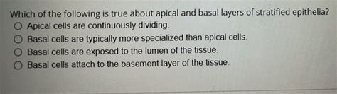 Solved Which Of The Following Is True About Apical And Basal