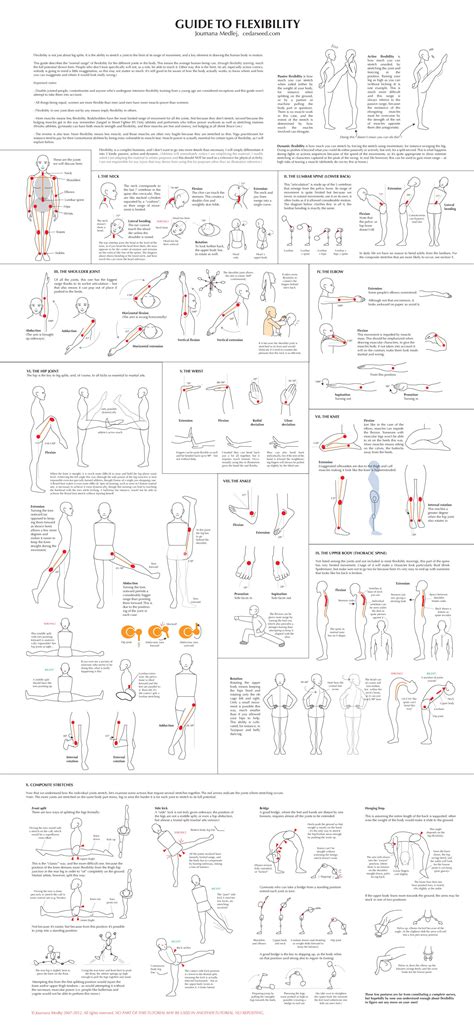 Guide To Flexibility Cedarseed