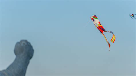 방패연 이미지 찾아보기 102 스톡 사진 벡터 및 비디오 Adobe Stock