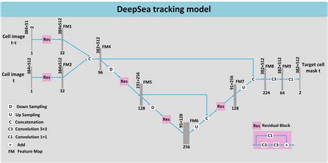 Deepsea Model Deepseas