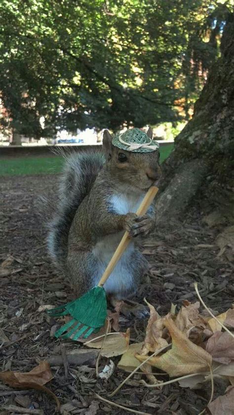Ugly Ass Fat Squirrels