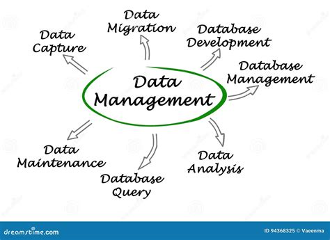 Data Management Stock Illustration Illustration Of Information 94368325