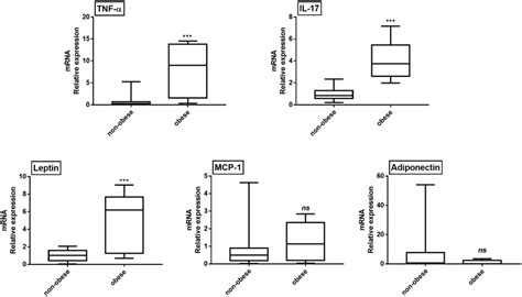 Mrna Expression Of Pro‐inflammatory Cytokines And Adipokines In Pbmc Of