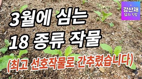 텃밭 3월에 심는 선호도 높은 작물 18 종류를 간추렸습니다 농업 텃밭