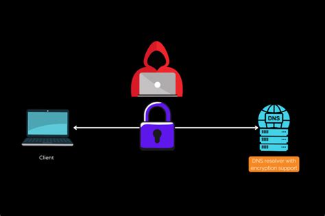 DNS Encryption DNS Over HTTPS DoH And DNS Over TLS DoT Web Security Lab