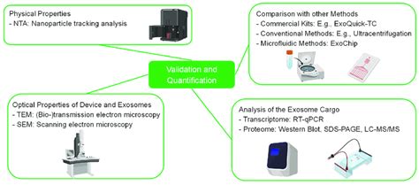 Validation And Quantification With Different Analysis Methods