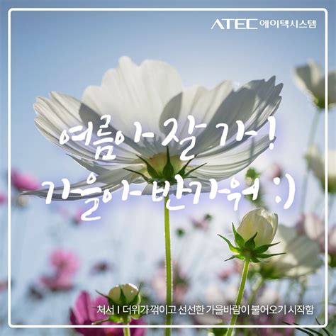 에이텍시스템 안녕하세요 뀨사원입니다 😉😉 ⠀ 모두 여름휴가는 잘 다녀오셨나요 😗