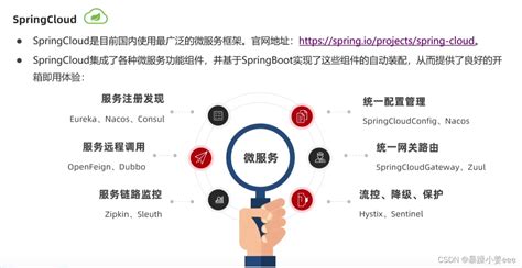 认识微服务，和远程调用微服务远程调用和不调用那个好 Csdn博客
