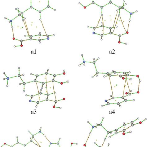 Qtaim Molecular Graphs For Dh⁺nac Complexes Small Orange Yellow And