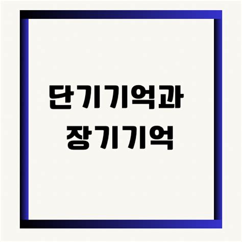 뇌와 기억 단기기억과 장기기억