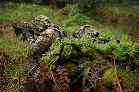 30 Facts About Camouflage Ohmyfacts