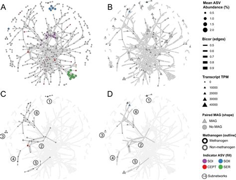 A Weighted Co Occurrence Network Of The Microbial Community Depicting
