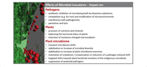 Summary Of Known Effects Elicited By Microbial Inoculants On Download Scientific Diagram