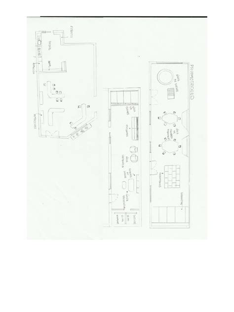 squiz pdf