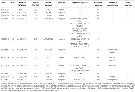 Frontiers A Novel Approach Integrating Hierarchical Clustering And Weighted Combination For