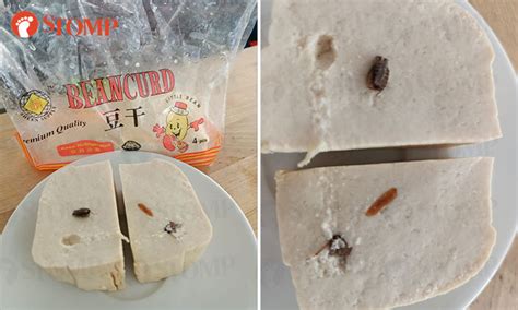 Stomp Man Finds Cockroach In Beancurd After Slicing Into It