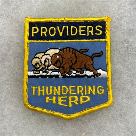 Us Army 43rd General Support Providers Pocket Patch Fitzkee Militaria Collectibles