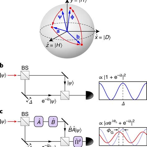 Emergence Of The Geometric Phase From Quantum Measurement Download