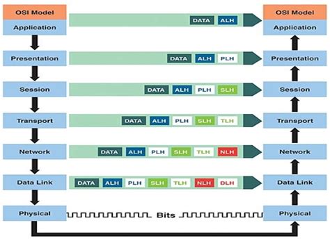 Networking Osi Model Explained The Daily Programmer