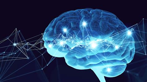 github ma7moud12975 neuroscience project