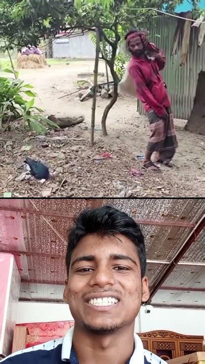 ইন্টারন্যাশনাল মুরগী চোর। Bangladesh Funny Vedioshorts Youtube