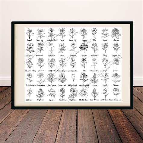 45 Single Flowers With Names Clipart Bundle Flower Sketch Floral Png